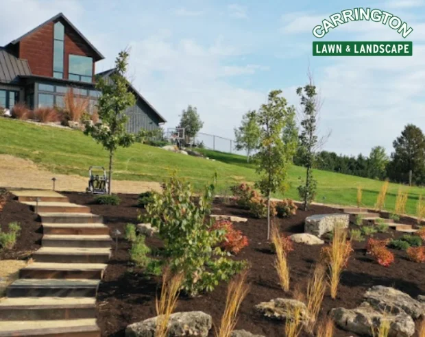 Landscape Design & Lawn Care in Sun Prairie, WI | Carrington Lawn ...